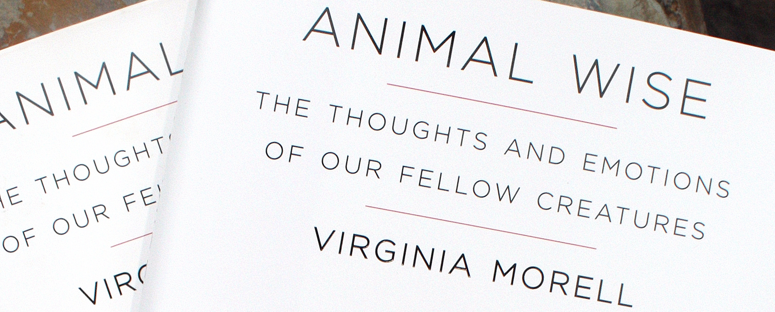 Book Review: Animal Wise – Science Calling!